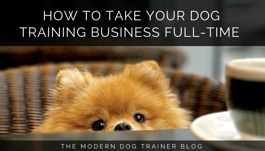 Blog - The Modern Dog Trainer